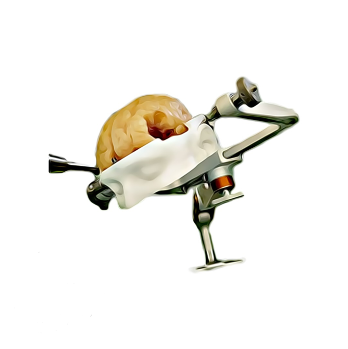 Brain Phantom for ultrasound navigated brain surgery training